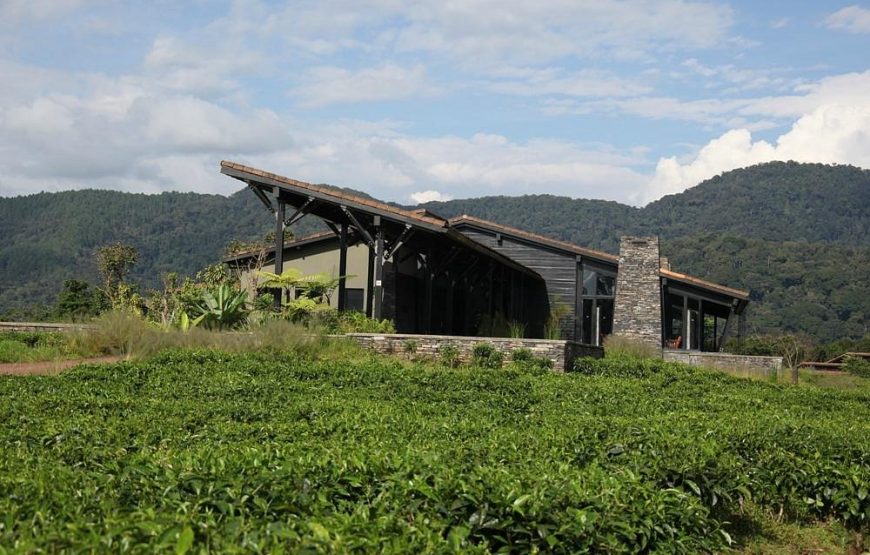 Nyungwe Forest Lodge - Continent Tours
