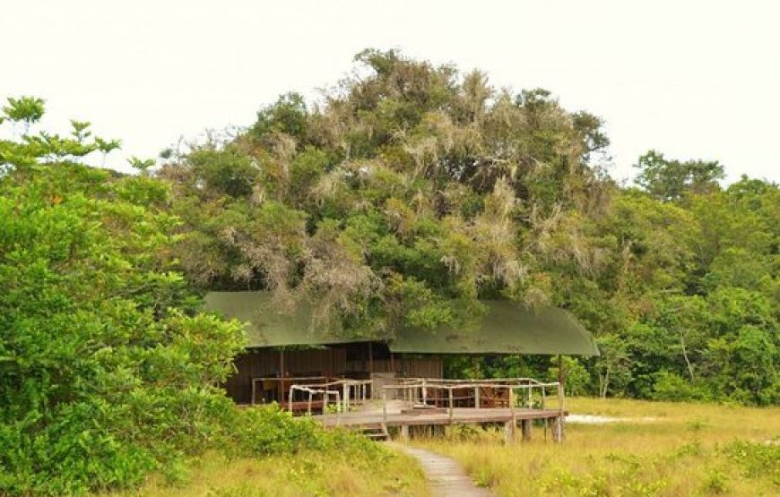 Tassi Camp - Continent Tours