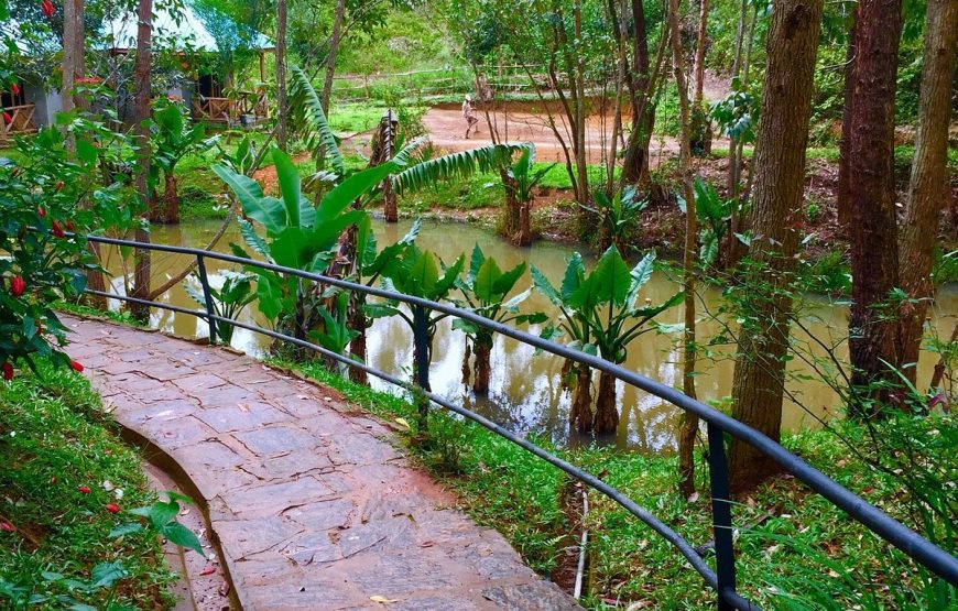 Andasibe Hotel - Continent Tours