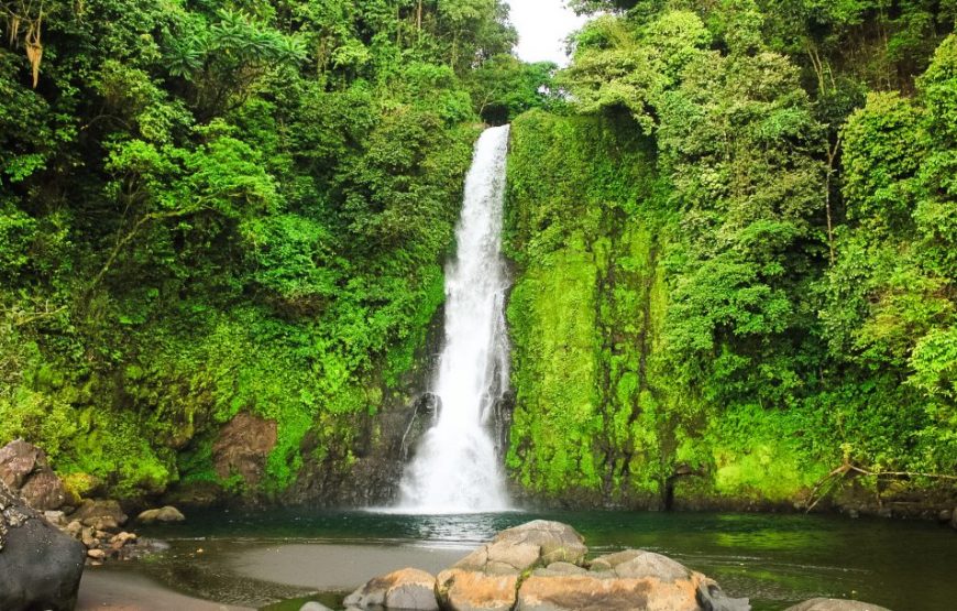 Bioko Explorer - 5 Days - Continent Tours