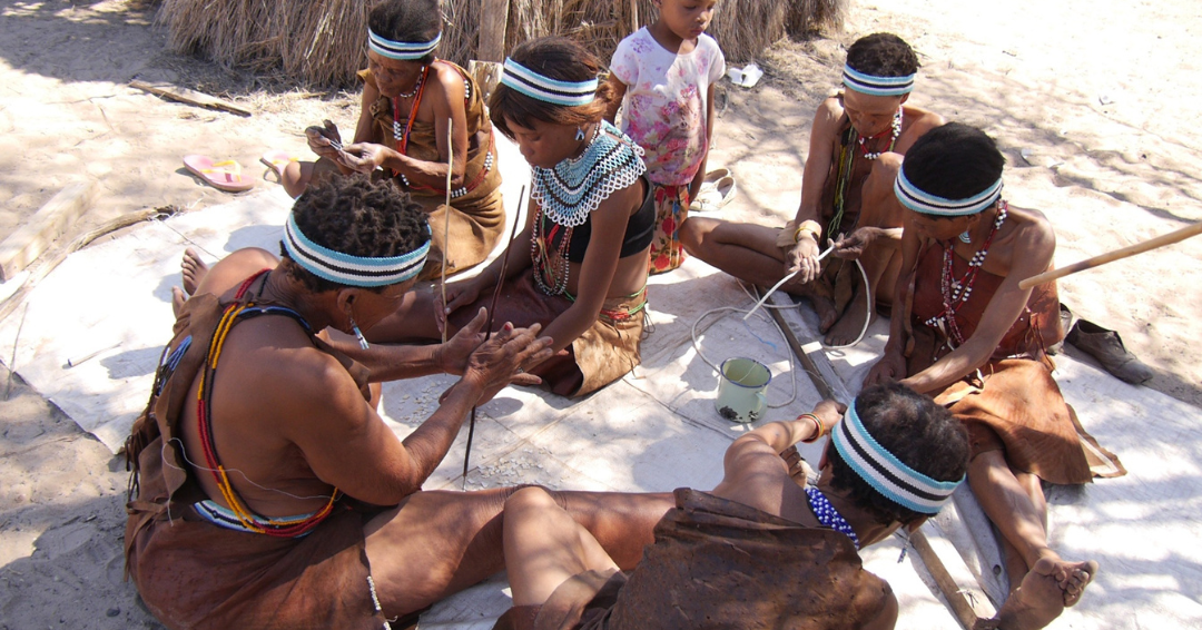 The Best of Botswana