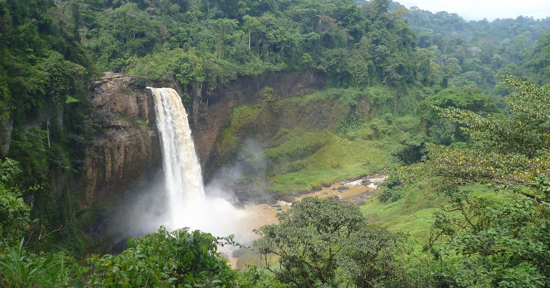 Central Africa - Continent Tours
