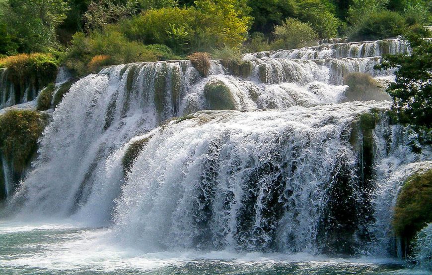 Cameroon Bagyeli Pygmy Tour | Cameroon Tour