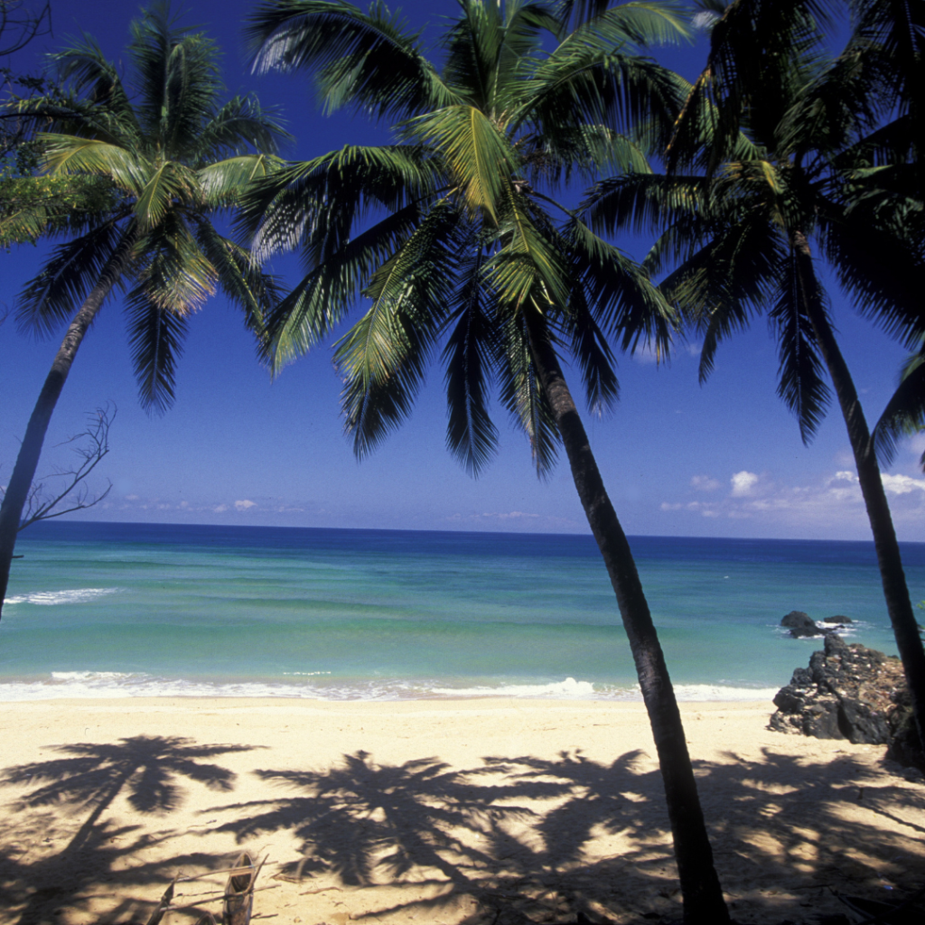 Comoros - Continent Tours