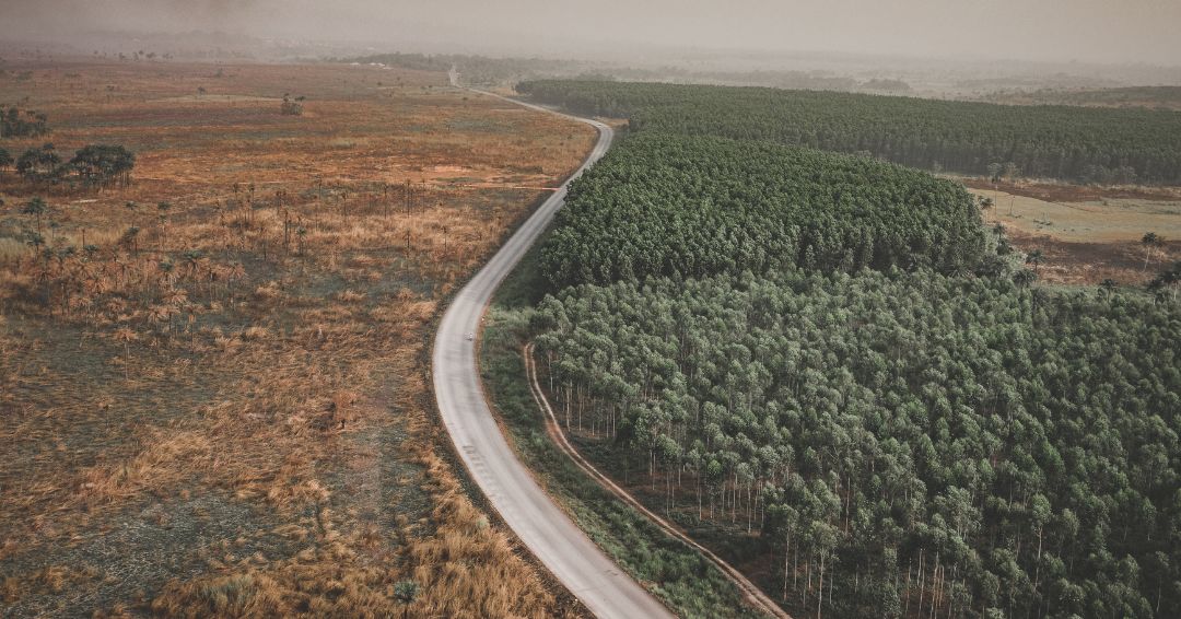 Sierra Leone - Continent Tours