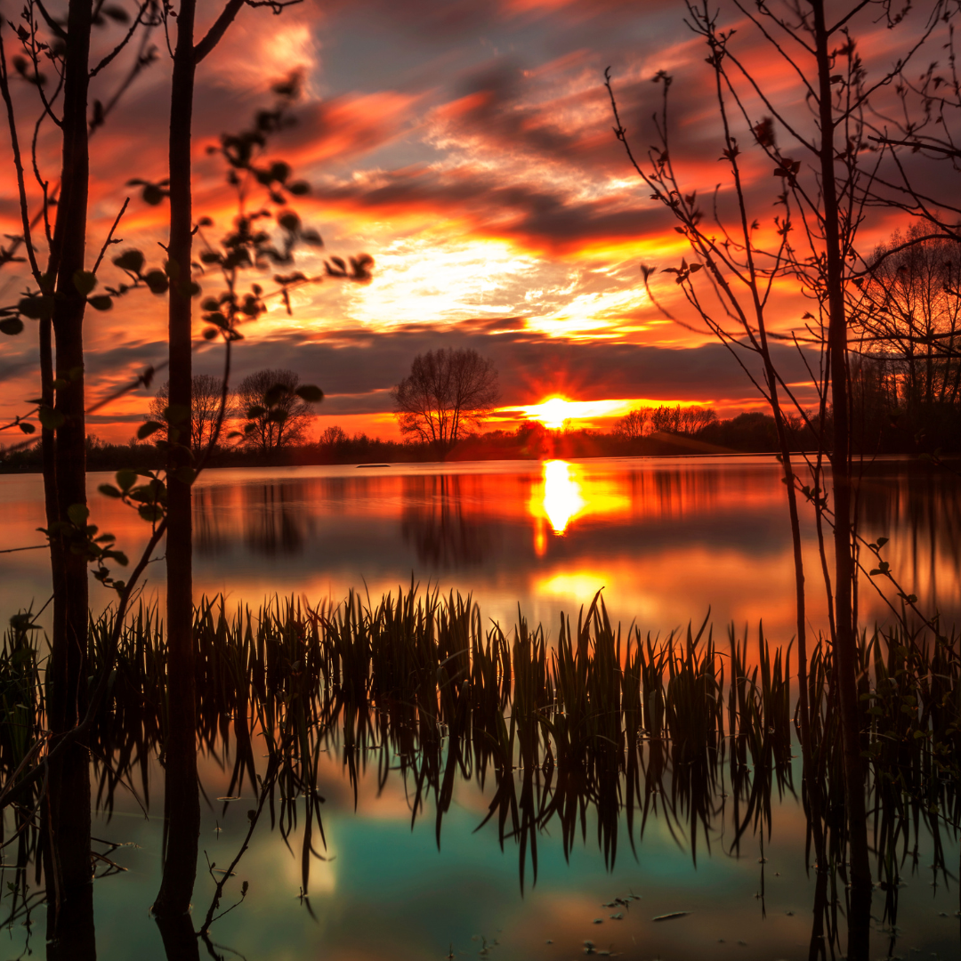 Chad - Continent Tours